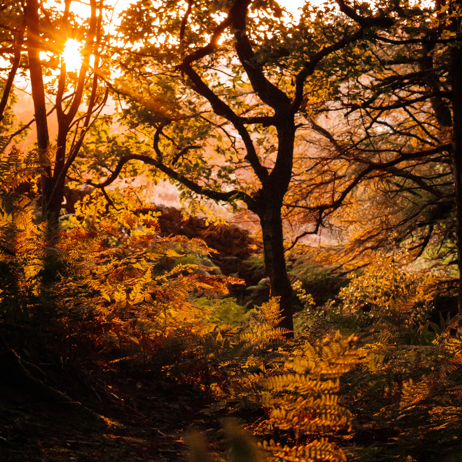 Best Yarns To Keep You Warm In Autumn Winter: Choosing The Right Yarn ...